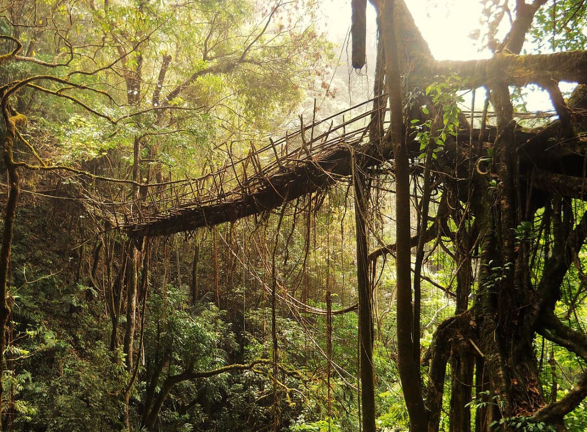 Top 5 Unique Bridges in the World - Stone Bridge